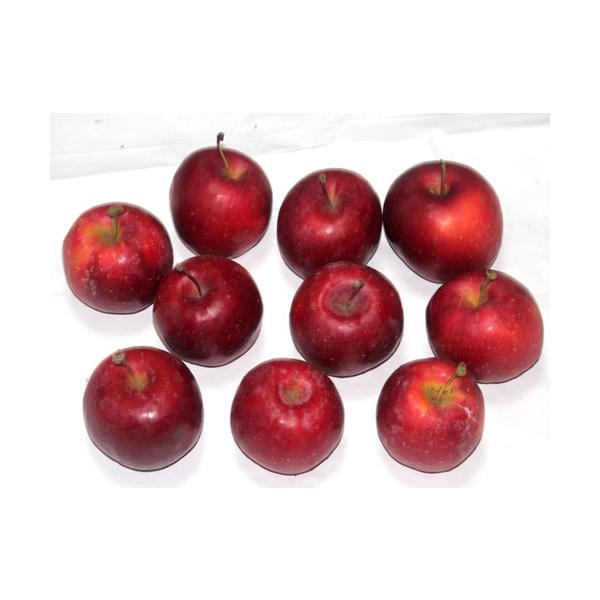 乙女りんご　姫リンゴ　オトメリンゴ10ヶセット リース クリスマス 資材手作りでクリスマスに彩りを♪&lt;BR&gt;お正月にも使えますリンゴの数１０ケのセットです&lt;BR&gt;直径４〜５センチ 前後のリンゴ　アルプスオトメです