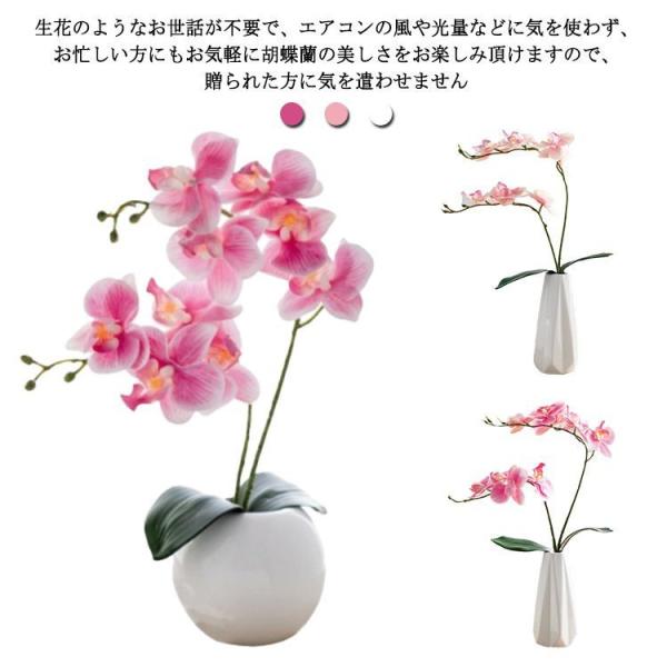 サイズ：約20*35cm