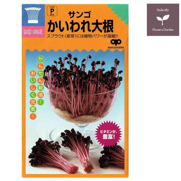 四季を通じていつでも、どこでも栽培出来る葉も茎も鮮やかな赤紫色になるかいわれ大根。カロチンやビタミンC、ビタミンKが多い。抗酸化、抗菌作用があり、よく噛んで食べると酵素反応が活発化して効果を増す。