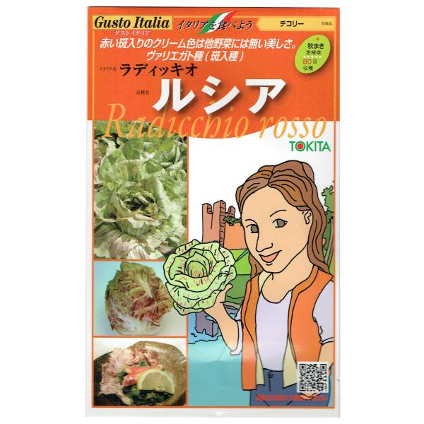 葉はクリーム色に赤い斑が入る結球タイプの品種。その美しい葉は様々な料理に彩を添えること間違いなし。品種：ルシアイタリア名：ラディッキオ　　作物名：チコリー種数：80粒播種期：秋収穫までの目安：定植後　80日