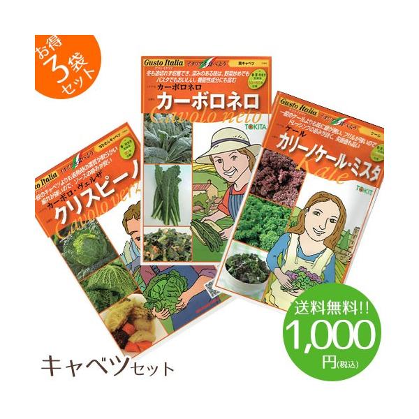 クリスピーノ（ちりめんキャベツ）、カーボロネロ（葉キャベツ）、カリノケール・ミスタ（ケール）のキャベツ3品種セット
