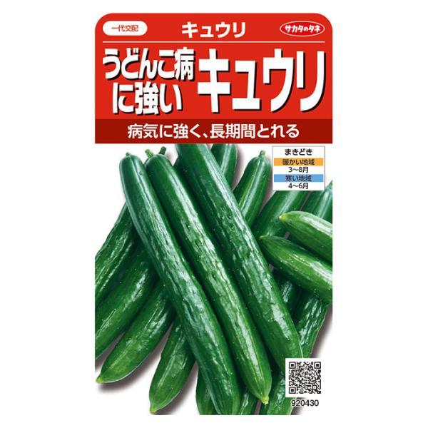 病気に強く、特にうどんこ病に強い作りやすい品種です。安定して長期間収穫を楽しめ、地這い栽培もできます。