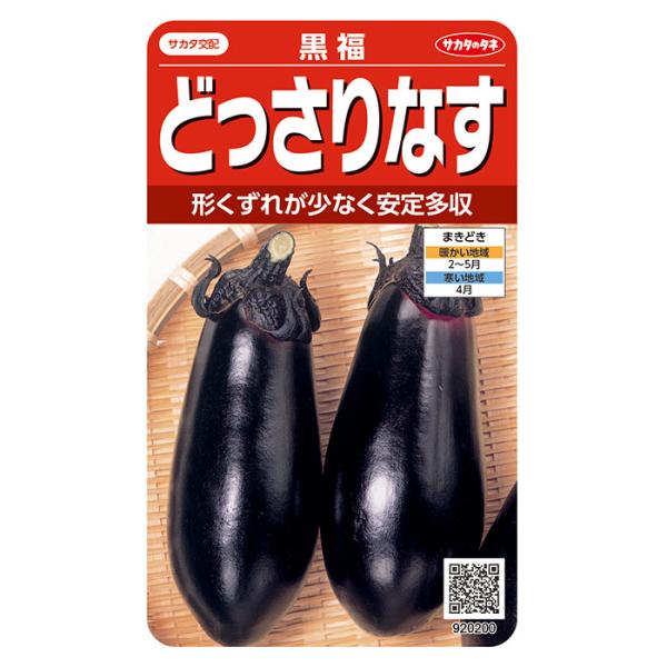 皮は柔らかくみずみずしさにあふれています。口当たりがよく、食味も抜群。収穫期全般を通して果形の乱れが少なく、育てやすい中長タイプ。
