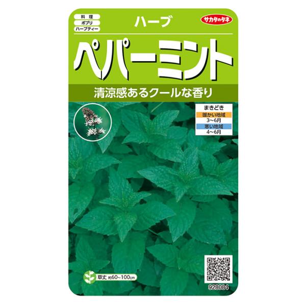 多くの種類、品種がある中でヨーロッパで古くから用いられている代表的なミントです。クールな刺激はだれでも知っている味で、いろいろな食品や口臭予防に使われています。