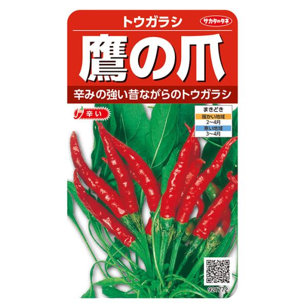 果実は小さく密生し上に向かって着果します。辛みが強く、日本の代表的なトウガラシ。乾燥させて香辛料に。