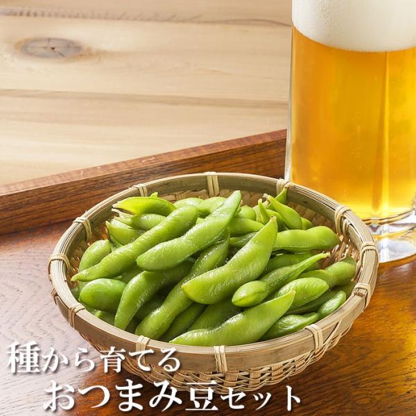 食べたい料理の具材を種から育ててみませんか？おつまみ枝豆　おつな姫、中早生茶豆　夏の声、早生枝豆（黒豆）　夏の装い、あまうまスナックエンドウの4品種セット