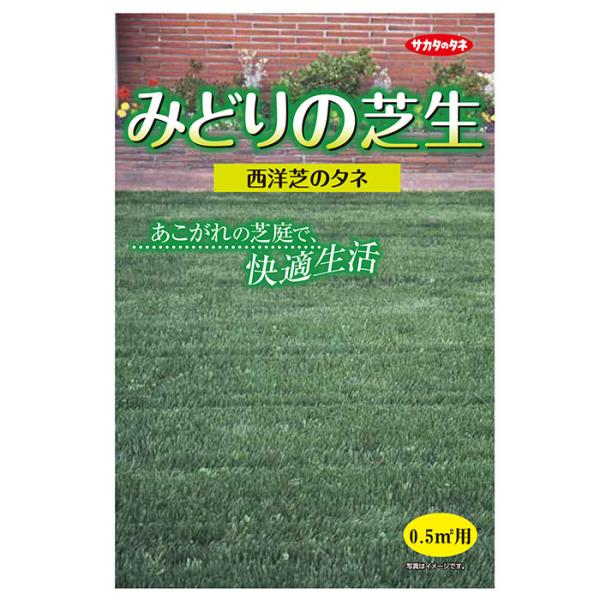 エンドファイトという、芝の植物体内に共生する菌の働きで耐虫性も強くなっていますので、適切な管理によって緑の芝生を長く楽しむことが可能です。