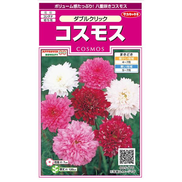 愛らしい半八重から八重咲き品種。花色は赤、ピンク、白の混合です。