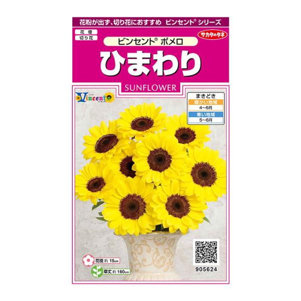 鮮やかな黄色の花弁には光沢があり、爽やかで涼しげな印象。「ポメロ」とは、日本では「文旦」として知られるかんきつの名前です。