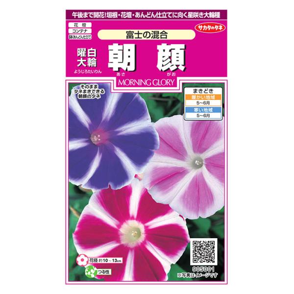 コントラストが美しい星咲き大輪種。午後まで開花する性質を持ち、垣根、花壇、あんどん仕立てに向きます。