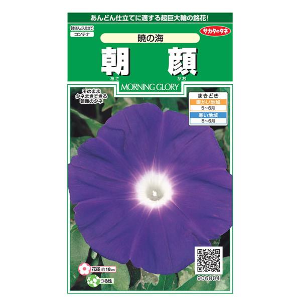 花径18cm前後にもなる迫力満点の超巨大輪暁シリーズ。つるがあまり伸びないので、あんどん仕立てに向いています。花色は鮮やかな濃青色、葉はセミ葉で涼しげな斑入りです。