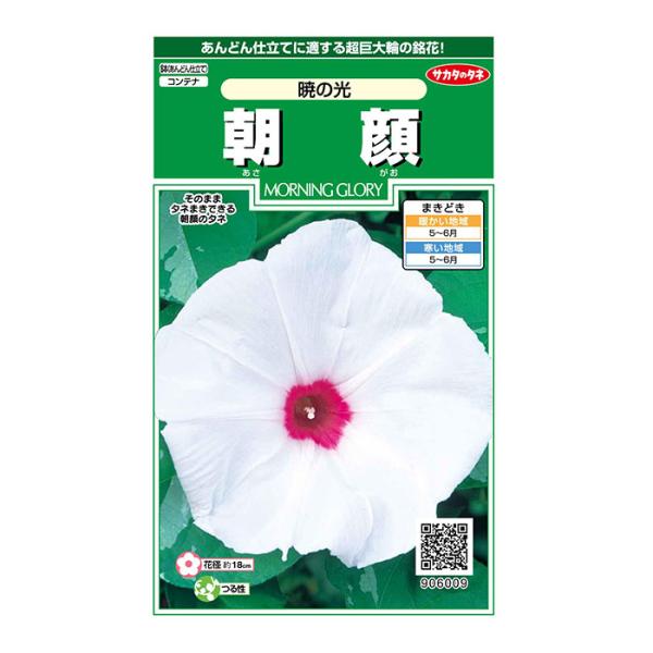 花径18cm前後にもなる迫力満点の超巨大輪暁シリーズ。つるがあまり伸びないので、あんどん仕立てに向いています。花色は純白地に紅の日の丸、葉はセミ葉で涼しげな斑入りです。