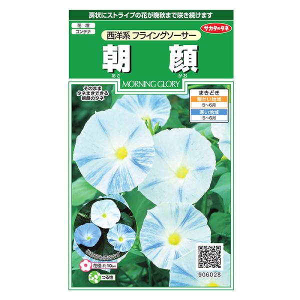 1花茎に3〜5輪を付け、短日開花性により暖かい地域では8月以降から霜のころまで咲き続けます。