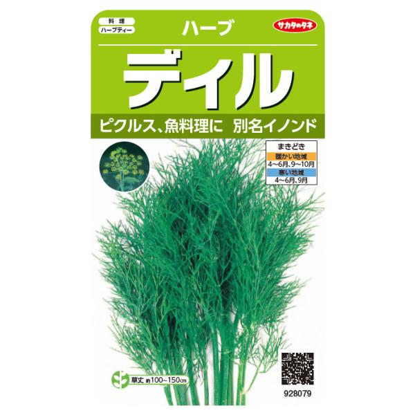 細い糸のような葉を持ち、夏には傘を開いたような黄色い花を付けます。葉を使うとマイルドに仕上がり、タネを使うと強い香りがつきます。