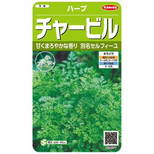 グルメのパセリまたは、セルフィーユとも呼ばれ、フランス料理でよく使われるハーブです。甘くまろやかな香りのする葉を刻んで、白身の魚料理や卵料理のほか、サラダの風味つけやスープの浮き実などに利用します。
