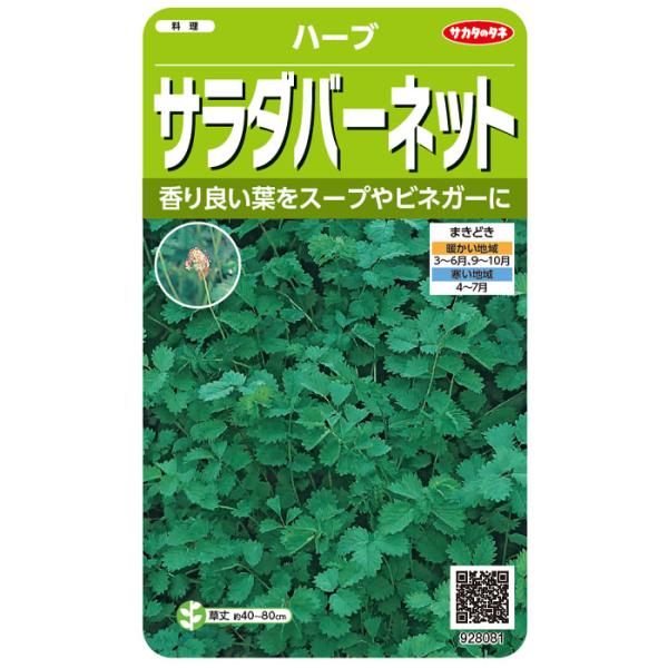 寒さに強く、土質を選ばず、とてもつくりやすい多年草で、冬でも新鮮な若い葉を利用できます。昔は傷葉として利用されていたこともありました。