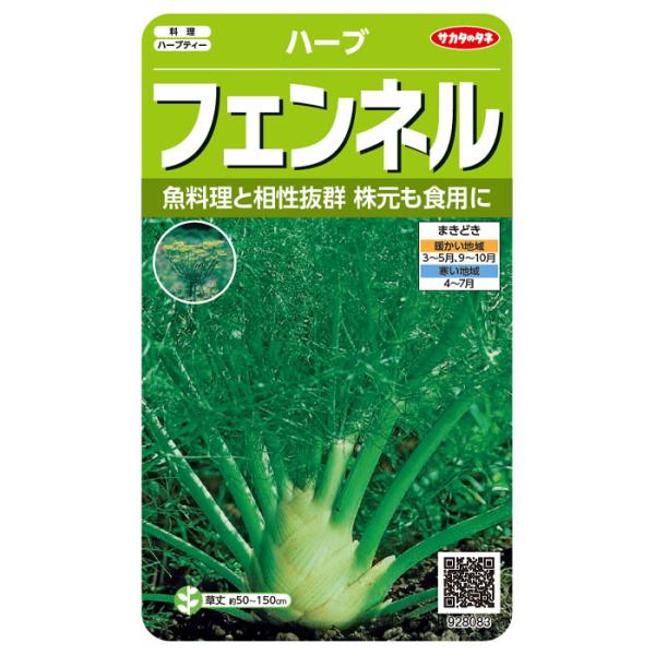 株元が肥大するフロレンスフェンネルです。「魚のハーブ」と呼ばれ魚介類を使った料理との相性がよく、世界中で利用されています。葉は風味づけ、肥大した株元はサラダ、タネは薬味・ハーブティー・菓子に利用できます。