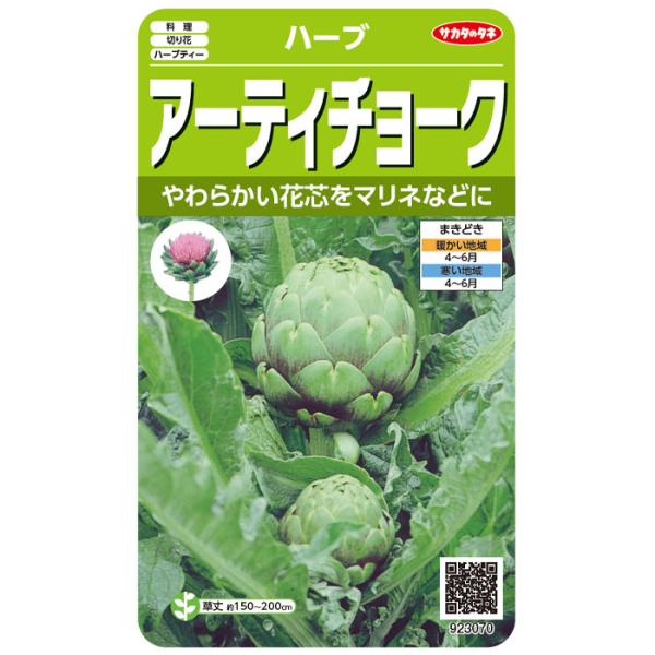 地中海沿岸原産でアザミに似た大型のキク科の多年草で、チョウセンアザミとも呼ばれ、開花前の大きなつぼみを切りとり、肉厚の花托（花床）と総苞片の下部の肉を食べます。観賞用にもなります。