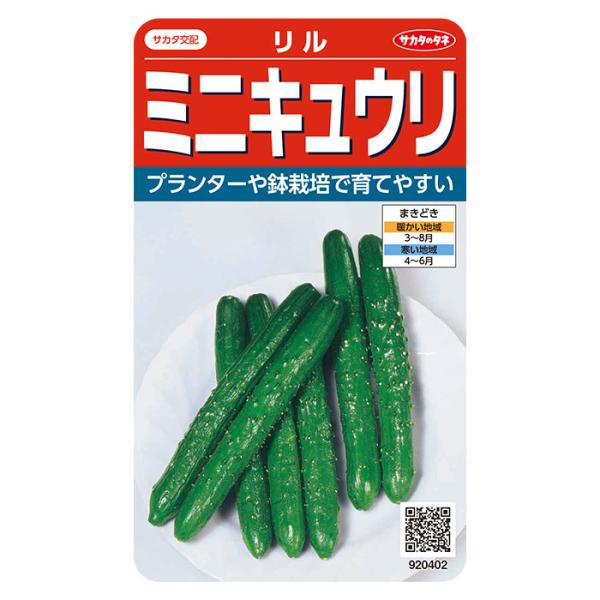 病気に強い家庭菜園向きの品種です。各枝にはたくさんの雌花が着き、たくさん収穫できます。褐斑病、耐病性で、べと病に強いです。商品名 ミニキュウリ リルＪＡＮ 4974449204021内容量　　-ml粒数　　　 約18粒発芽率　　-%播き時【...