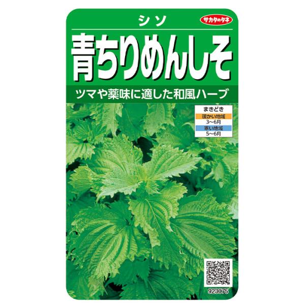 葉が縮れ、芽ジソ、葉ジソ、穂ジソとして上品な芳香でツマや薬味として楽しめます。商品名 青ちりめんしそＪＡＮ 4974449230754 内容量 　　5ml粒数     　    約1230粒発芽率 　　65%播き時【暖地】 3〜6月播き時【...