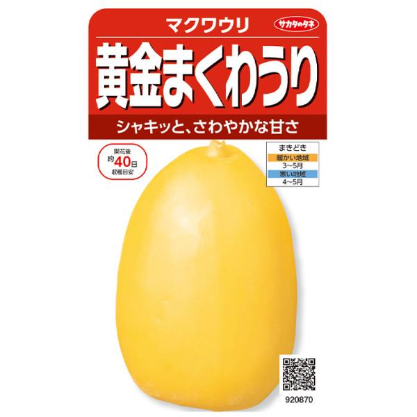 暑さと病気に強く作りやすい品種です。早生で実付きがよく、多収で日持ちもよく、家庭菜園向きです。