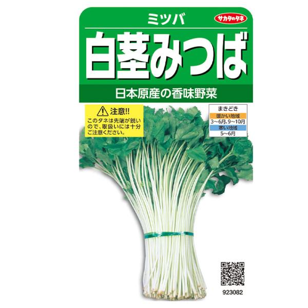 風味と香りが抜群。カロテンの多い野菜で、湿り気の多い場所や日陰でもよく育ちます。