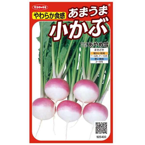 球のそろいがよく、裂根、変形が少なく、す入りも遅く作りやすい品種です。肉質は緻密で甘みが強く、食感のよさも特長です。