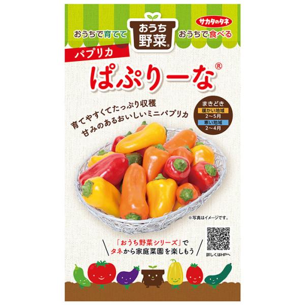 ジューシーで甘みがあり、炒め物やサラダにも合います。実のつきが良くたくさん収穫することができます。開花後60日前後で色づき始めてきます。