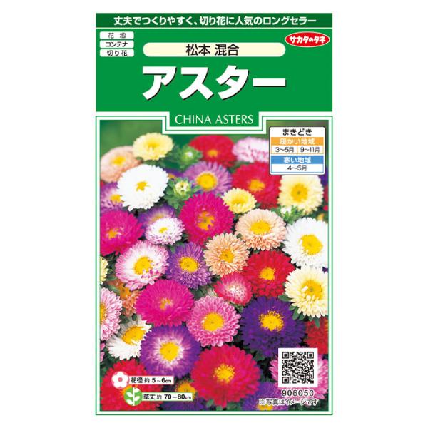 人気のロングセラー。分枝性が強く花付きがよいため、ボリュームたっぷりの切り花になります。