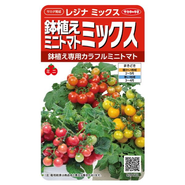 鑑賞・鉢栽培専用のミニトマトです。草丈は15〜20cmくらいで支柱などの支えはいりません。赤橙色のかわいらしい実がたくさんつき、食べることも観賞用としても楽しめます。