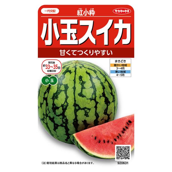 重さ2kg前後でよくそろい、着果性がよく作りやすい小玉スイカです。果肉にシャリ感があり糖度が12〜13度ほどになります。開花後33〜35日程度で収穫できる早生品種です。