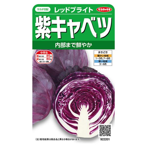 春・夏まきができる紫キャベツで、強健で栽培しやすい中早生種です。球は1.3kg程度のきれいな正円球で、内部まで紫色の発色がよいです。