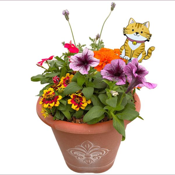 玄関やベランダを彩る理想的なアイテムです。鮮やかな花々を美しく寄せ植えにしており、アンティーク調のラウンドプランターがその魅力を一層引き立てます。プランターのデザインはクラシックな装飾が施されており、どんな空間にも上品な印象を加えることがで...