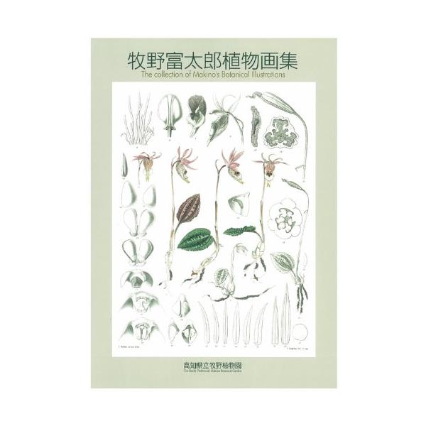 高知県が生んだ世界的な植物分類学者牧野富太郎は日本の植物分類学の基礎を築き、植物学史に大きな足跡を残した。博士は植物図の才能にも秀でた。これら貴重な植物図を収蔵する牧野植物園が、博士が発見命名した植物を中心に精選した画集。巻末に解説あり。