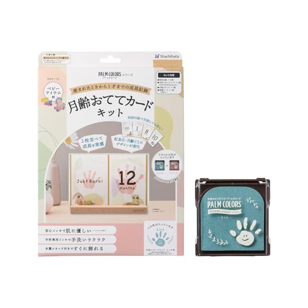 ミント/148mm x 100mm/HPSC-B/H-MT・パッケージ個数:1・【セット内容】専用台紙15枚（ハガキサイズ148×100mm）、手形スタンプパッド「PALM COLORS mezzo color」1個、木製スタンド1個、保護...