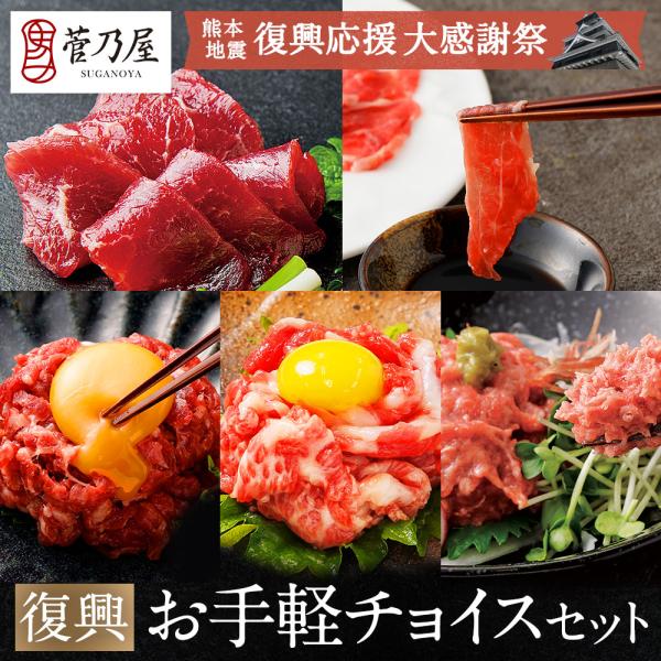 《復興》お手軽チョイスセット菅乃屋 馬刺し ばさし 馬肉 熊本 父の日 母の日 御中元 御歳暮 御祝 御礼 プレゼント 贈り物 お中元 お歳暮 お祝い 内祝 お誕生日 ギフト ご贈答品 敬老の日 お見舞い 御祝 としてもご利用いただけます。 爆買