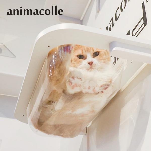 ネコちゃんの遊び場を広げるキャットステップ。石膏ボードの壁に取り付け可能。金具の取り付けに特別な工具は不要、付属のスティックを使ってピンを挿し込むだけで簡単に取り付けができます。ステップ部分はマグネットで固定するので、簡単に取り外しでき、模...