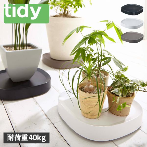 tidyの観葉植物の鉢の移動などに便利なキャスター付き植木鉢トレーです。キャスターは前後左右自由に移動でき、ラバーを張っているので室内で観葉植物を育てるときに大変な掃除や模様替えなどが床を傷つけることなく手軽に行うことができます。水をこぼし...