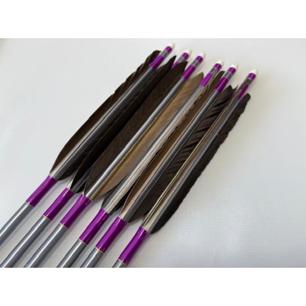 ジュラルミン矢「EASTON社」、６本セット矢です。・シャフトの太さ：２０１4・シャフトのカラー：グレー・矢羽根の種類：黒手羽・矢羽根の模様：黒（単色）・矧ぎ糸のカラー：紫色・筈の色：白色ご希望の矢尺を記入のうえ注文してください。（１１０ｃ...