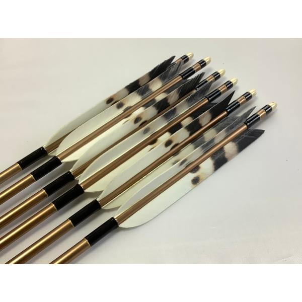 ジュラルミン矢「EASTON社」、６本セットです。白鷹羽根の柄を模したデザインの羽根です。・シャフトの太さ：２０１４・シャフトのカラー：ブロンズ・矢羽根の種類：ターキー・矧ぎ糸のカラー：黒色・筈の色：白色ご希望の矢尺を記入のうえ注文してくだ...