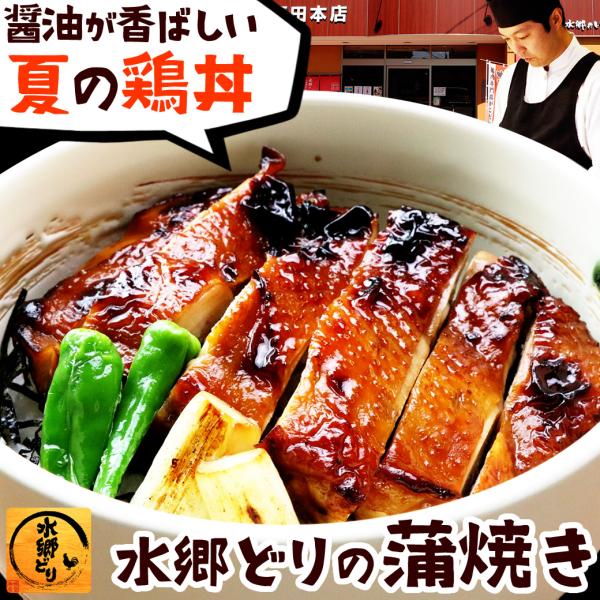 鰻（うなぎ）の蒲焼きにも負けない美味しさ！鶏肉なのでさっぱりだけど、肉汁たっぷりジューシーです♪商品内容：水郷どりの鶏蒲焼き：1枚賞味期限：冷蔵で10日 冷凍で90日鳥肉 鶏肉 国産 焼き鳥   須田本店
