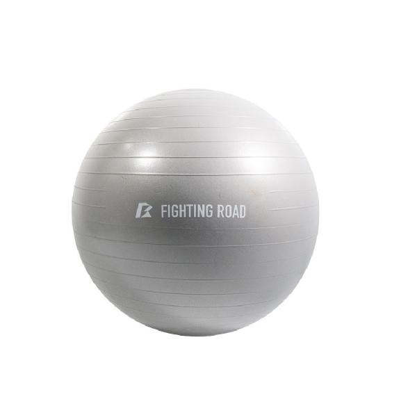 ファイティングロード Co.Ltd/ジムボール 55cm FR23CMS0048 GRY ダイエット  FIGHTINGROAD Co., Ltd.