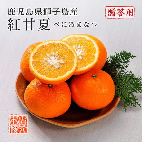 甘夏に比べ果皮や果肉が紅色をしており、また甘夏よりも甘くまろやかな酸味がたっぷりの果汁に含まれています。5〜6月に旬を迎える酸味が少なく高糖度。味のバランスがちょうどいい、初夏にぴったりの清々しい魅力いっぱいの紅甘夏をぜひご賞味ください。品...