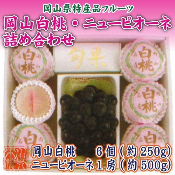 岡山名産品の白桃とニューピオーネの詰め合わせになります。■岡山白桃■岡山白桃は、加納岩白桃・白鳳・白麗・瀬戸内白桃・岡山夢白桃などの清水白桃以外の岡山産の白桃の総称です。ふわ〜っと広がる甘く芳醇な香り、柔らかくなめらかな果肉からあふれ出す果...