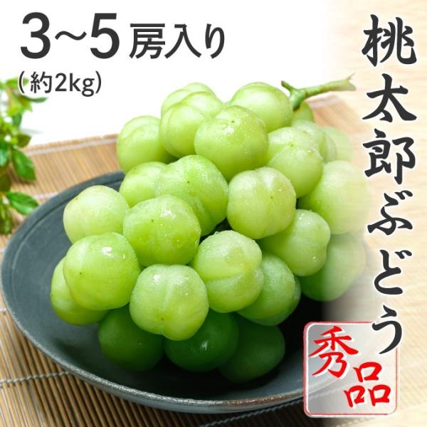 桃太郎ぶどうは品種名を瀬戸ジャイアンツといいますが、桃太郎ぶどう生産組合の組合員が高い水準で栽培し、品質基準に合格したものだけを桃太郎ぶどうの名で出荷することができます。基準に達しないものは出荷できずロスになってしまいますが、桃太郎ぶどうブ...