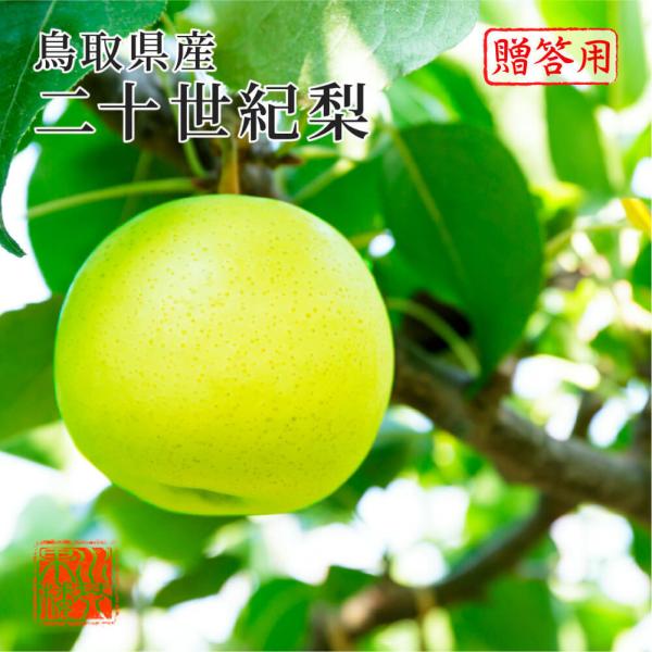 梨と言えば鳥取。そんな梨で有名な鳥取から今が旬の二十世紀梨をお届けします。二十世紀梨は果汁が多く、甘みと酸味のバランスがとれた爽やかな味で、シャキシャキとした食感は一度食べるとやみつきになります。100年の歴史を持つ大変優れたブランド梨を、...