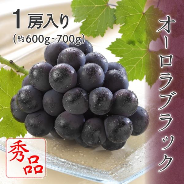 オーロラブラックは岡山県農林水産センター農業研究所において1983(昭和58)年に生み出され、2003年(平成15年)2月に品種登録された新しい品種のぶどうになります。 岡山県オリジナル品種として、岡山県でしか栽培されてなく巨峰やピオーネに...
