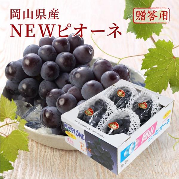 ピオーネの種なし処理をしたものをニューピオーネと呼んでいて、最大産地は岡山県。甘味酸味ともに強く、いかにもぶどうを思わせる強く濃厚な味わいが特徴。しっかりした味に加えて大粒ですから、数粒食べると満足してしまうコストパフォーマンスの良さも備え...