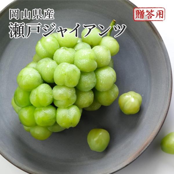 瀬戸ジャイアンツは1979年に岡山のぶどう研究会「花澤ぶどう研究会」によって育成されたぶどうです。大粒の果肉は大変ジューシーで桃のような筋の入った見た目が特徴的です。糖度は18度前後と高く、薄い皮をそのままかじるとパリッとした食感が楽しめま...