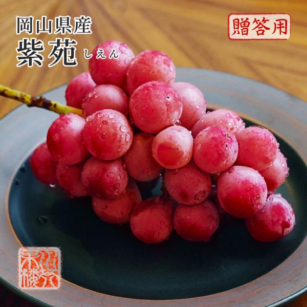 紫苑は、岡山で秋から冬（10月下旬〜12月上旬）にかけて収穫される紫色のぶどうです。楕円の実で種が無く糖度18度〜20度の甘味が強く、プリッとした食感で果汁もたっぷりな品です。の時期、クリスマスパーティーやお歳暮にも最適な一品です。是非一度...